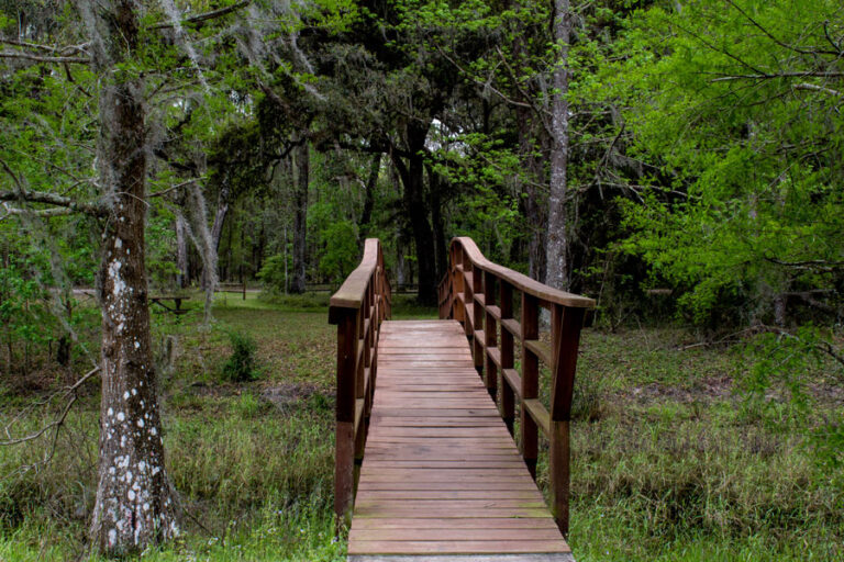 Brooksville, Florida - Florida Vacations, Travel & Tourism Guide