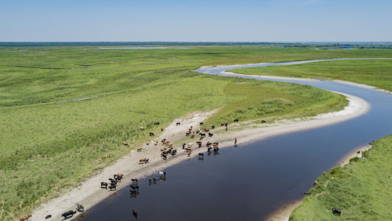 Umatilla, Florida - Florida Vacations, Travel & Tourism Guide