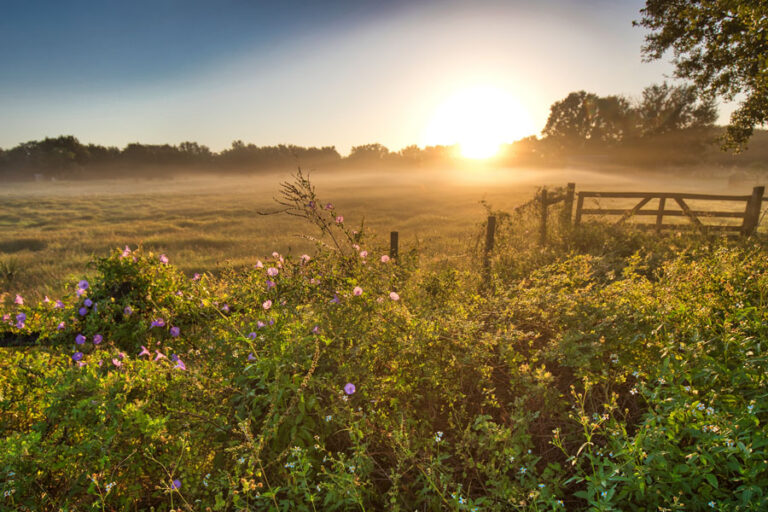 Umatilla, Florida - Florida Vacations, Travel & Tourism Guide