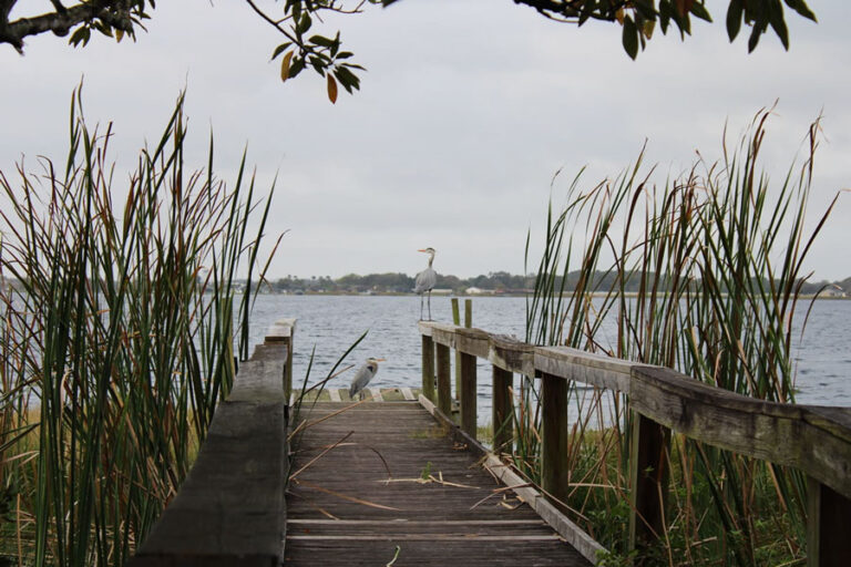 Lake Alfred, Florida - Florida Vacations, Travel & Tourism Guide