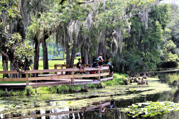 Temple Terrace, Florida - Florida Vacations, Travel & Tourism Guide
