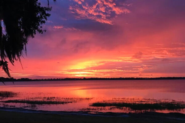 Lake Alfred, Florida - Florida Vacations, Travel & Tourism Guide