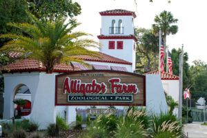 St. Augustine Alligator Farm Zoological Park - Florida Vacations ...