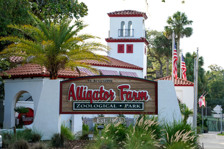 St. Augustine Alligator Farm - Florida Vacations, Travel & Tourism Guide