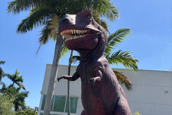 South Florida Science Museum - Florida Vacations, Travel & Tourism Guide