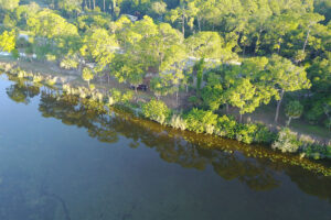 Labelle, Florida - Florida Vacations, Travel & Tourism Guide