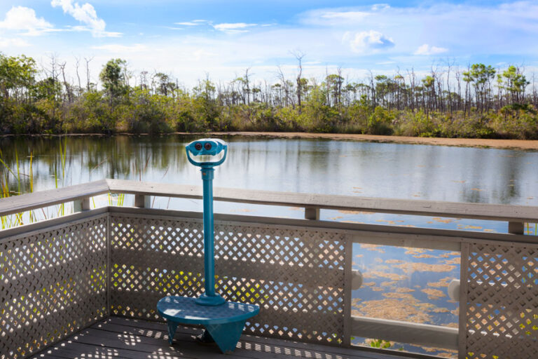 Blue Hole, Big Pine Key - Florida Vacations, Travel & Tourism Guide