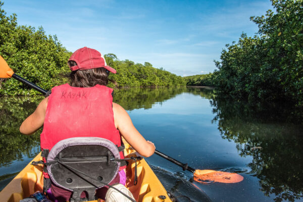 Canoe & Kayak Trails in Florida - Florida Vacations, Travel & Tourism Guide