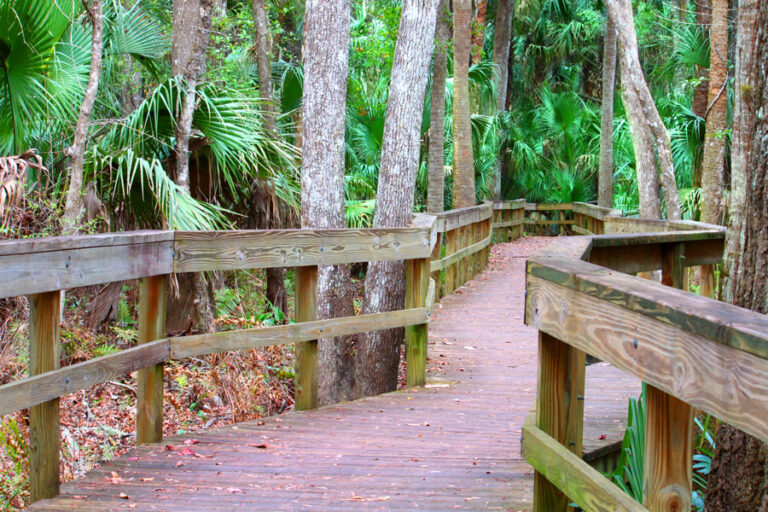 Highlands Hammock State Park - Florida Vacations, Travel & Tourism Guide