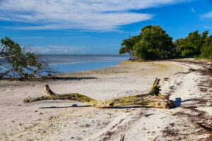 Long Key State Park - Florida Vacations, Travel & Tourism Guide
