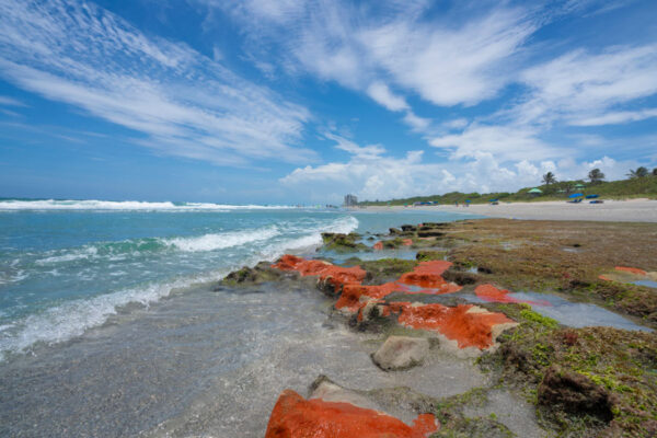 Red Reef Park - Florida Vacations, Travel & Tourism Guide