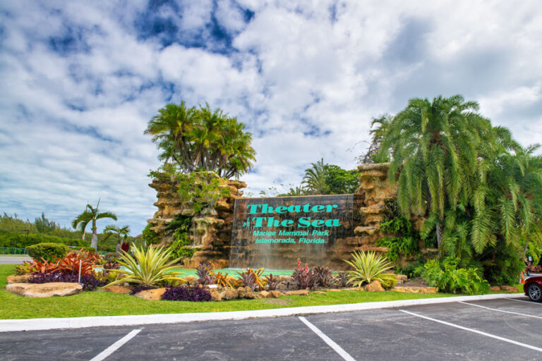 Theater of the Sea - Florida Vacations, Travel & Tourism Guide