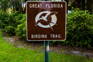 Great Florida Birding and Wildlife Trail - Florida Vacations, Travel ...