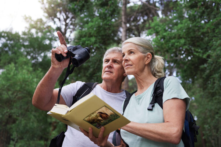 Bird Watching Tours in Florida - Florida Vacations, Travel & Tourism Guide