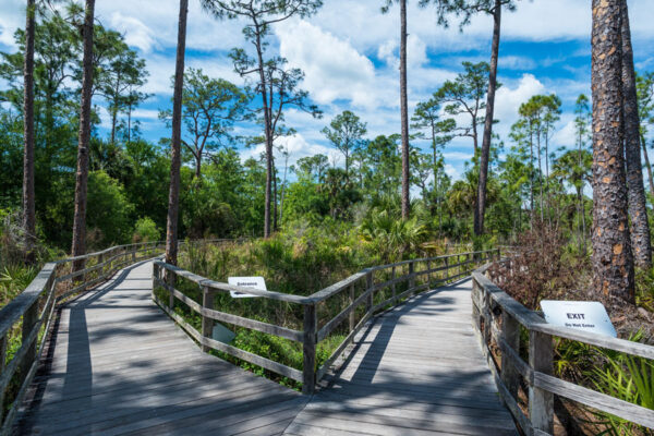 Audubon Corkscrew Swamp Sanctuary - Florida Vacations, Travel & Tourism ...