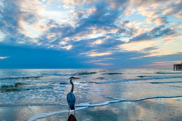 Redington Beach, Florida - Florida Vacations, Travel & Tourism Guide