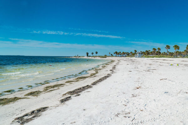 Fred Howard Park - Florida Vacations, Travel & Tourism Guide